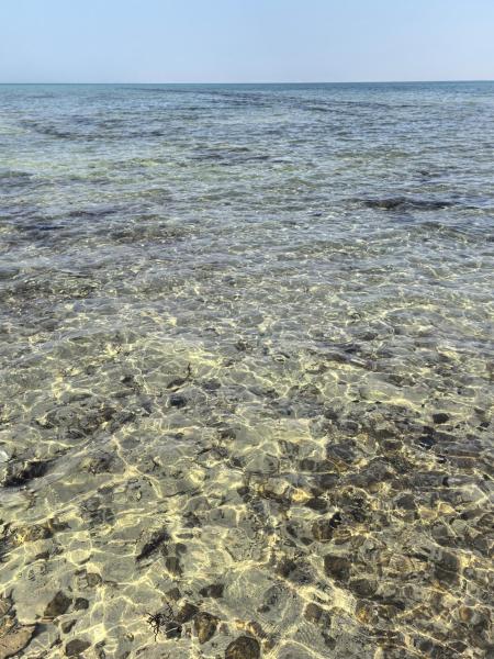 Natureland Beach Villa - Émirats arabes unis