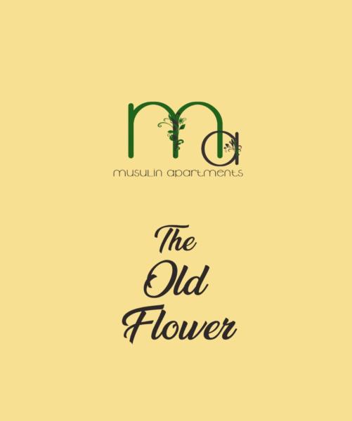 The Old Flower - Joseni