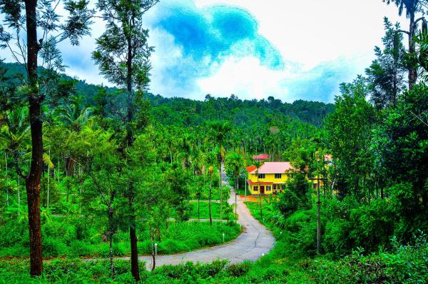 Palm Resort - Gudalur