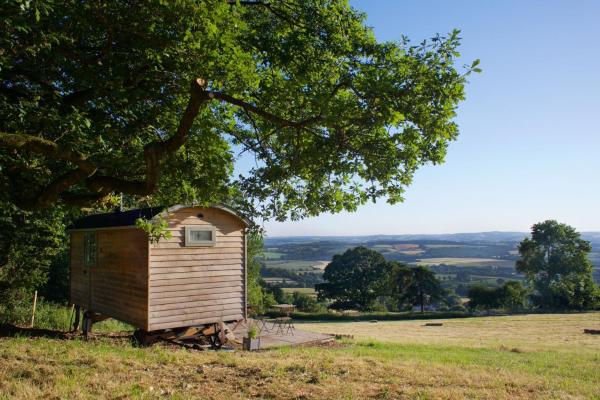 Romney Hut - Taunton