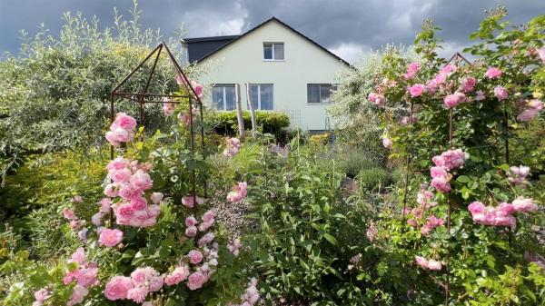 Auberge L'art - Érfurt