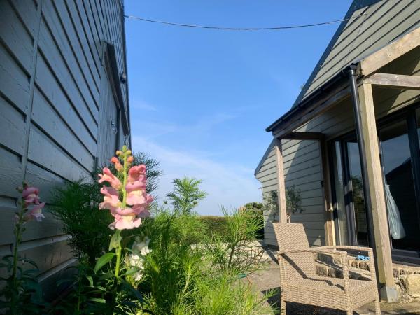 Field View - Liskeard