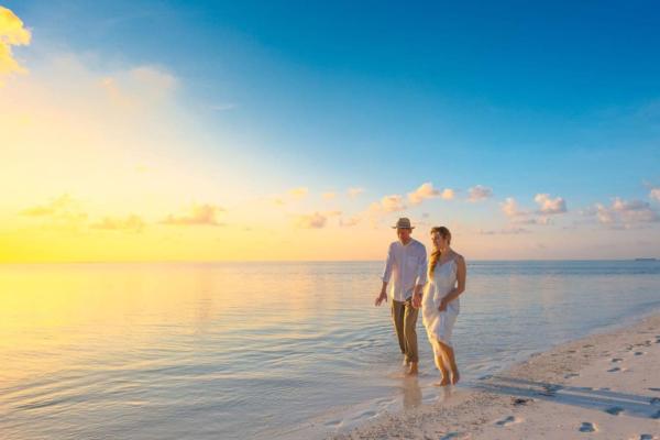 Siesta Key Room Cozy Convenient - Sarasota
