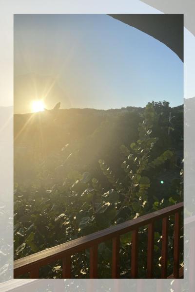 Jamaica Like A Local, A Perfect Girls' Getaway With Curated Excursions - Jamaica
