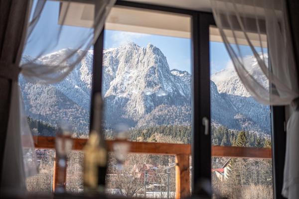 Yael Luxury Apartments 5 - Sinaia