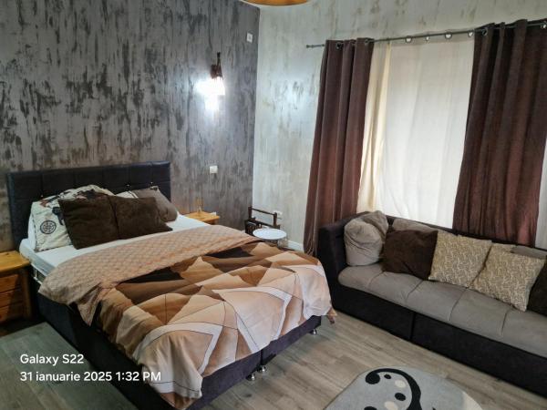 Casa Rahova Studio - Tulcea