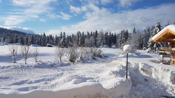 Chalet An Der Lofer - Reit im Winkl