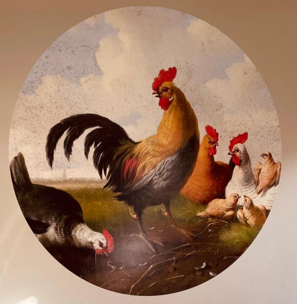 De Kraaiende Haan - Someren