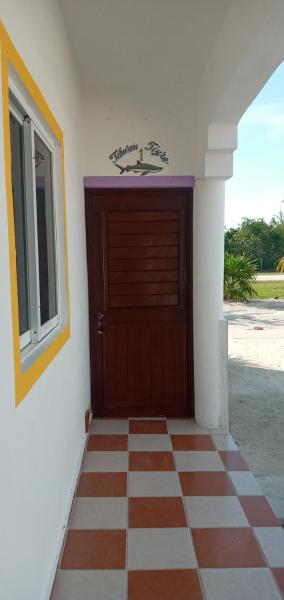1tiburón Tigre Squalos Place - Isla Holbox