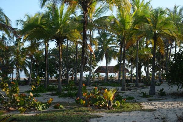 Hotel Playa Bonita Tayrona - Parque Nacional Natural Tayrona