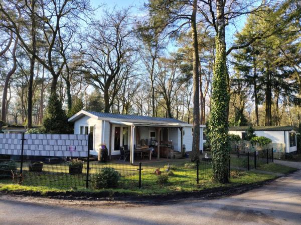 Serene - Apeldoorn