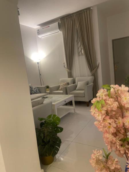 شقه 2 حي المروج مقابل المركز المالي - Riyad