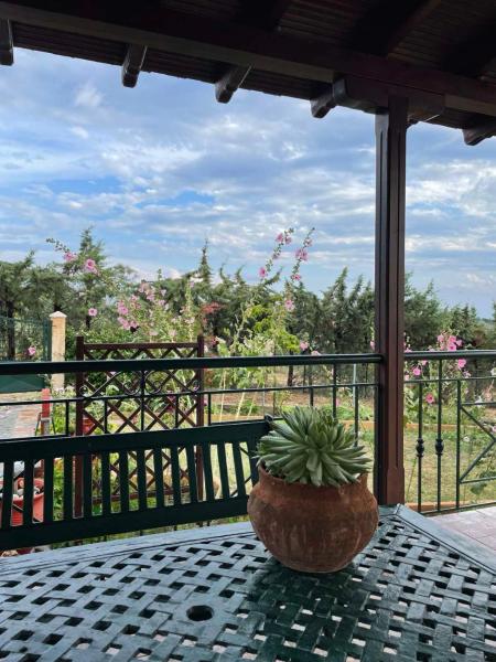 The Bougainvillea Villa - Halkidiki