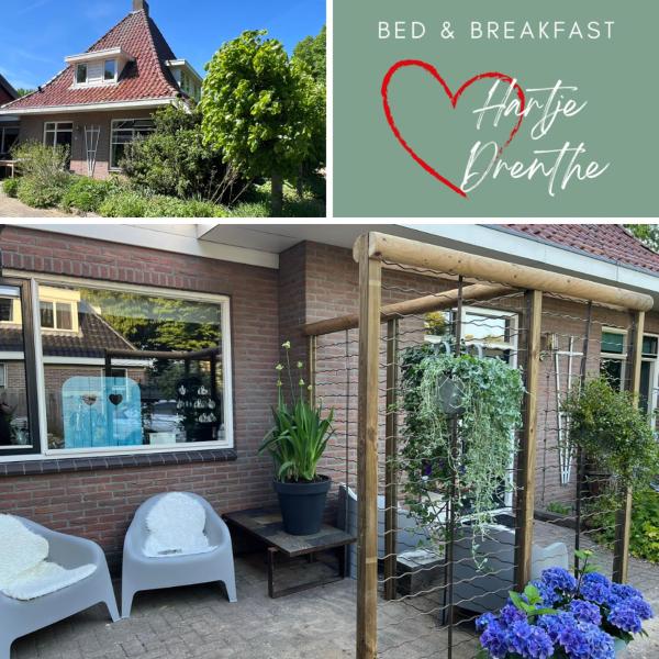 B&b Hartje Drenthe - Drenthe