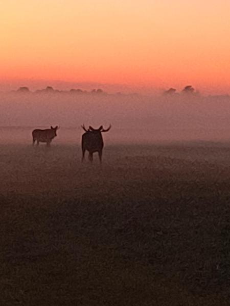 Na Majdanie - 波蘭