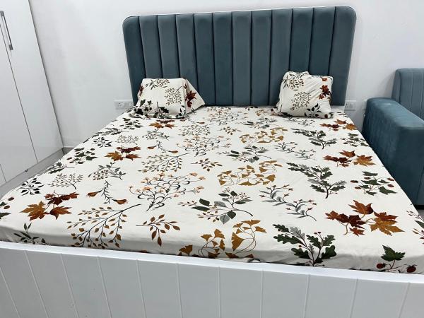 Royal Orbit Studio - Noida