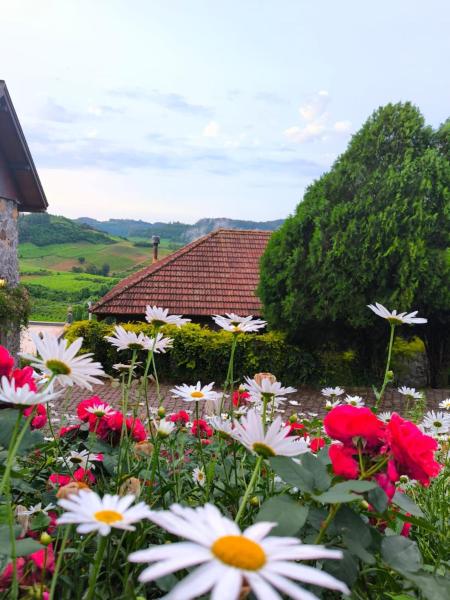 Pousada Borghetto – Charme E Exclusividade No Vale Dos Vinhedos - Garibaldi