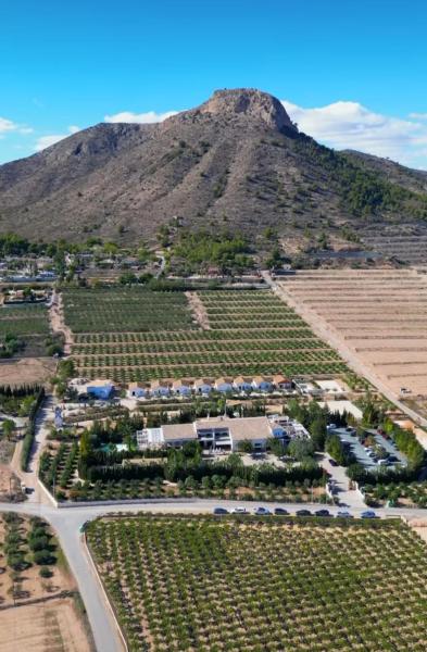 Bellevall Resort, Hotel Y Apartamentos - Elche