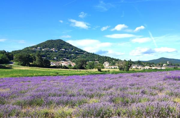 Havre De Paix Et Lavandes - Très Calme - Salle De Jeux - Jacuzzi Chauffé - Idéalement Placée - Aucun Vis à Vis - Montélimar