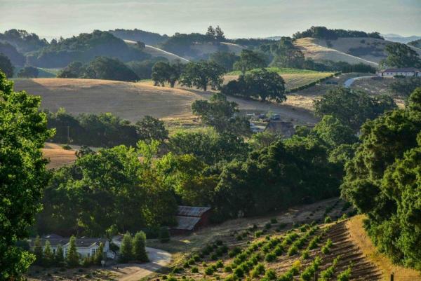 Orchard Hill Farm - Halter Ranch, Paso Robles