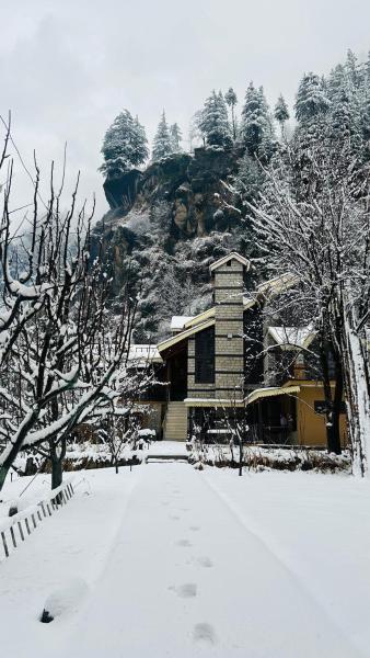 Into The Wild Manali - Himachal Pradesh