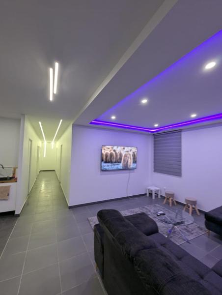 Spacious And Modern Loft With Balneo Space - Strasbourg