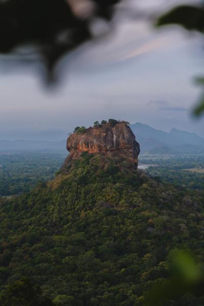Elephant Trio Sigiriya - Sri Lanka