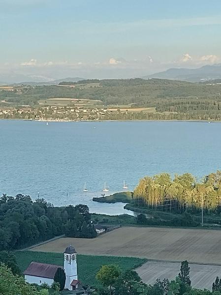 Swiss Borzoi House - Neuchâtel