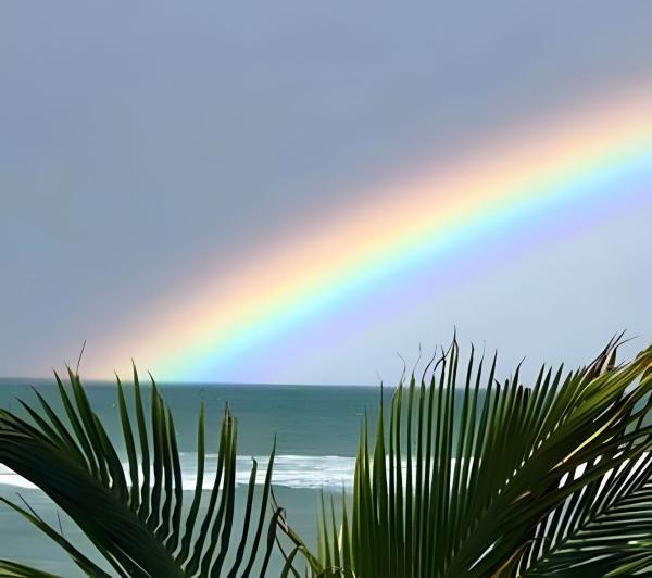 Licuri Praia De Algodões Se Hospedar Na Beira Mar - Bahía
