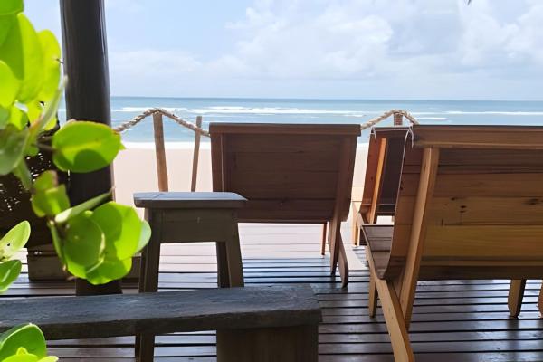 Licuri Praia De Algodões Paz Amor Na Beira Do Mar - Bahia (estado)