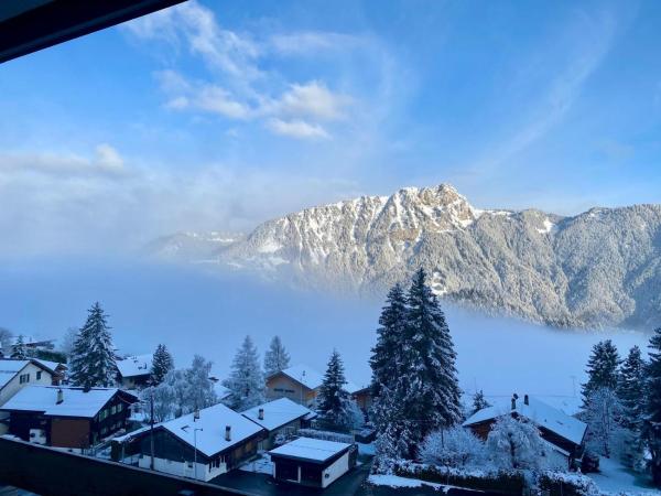 Roc D'orsay D36 - Leysin