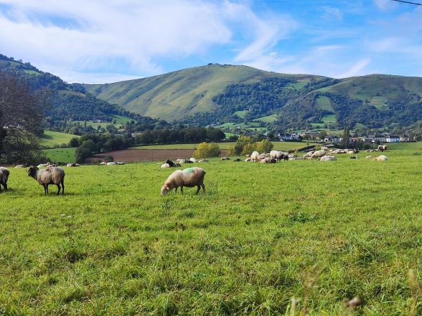 Gîte Harkurutxea Avec Piscine - Pays basque français