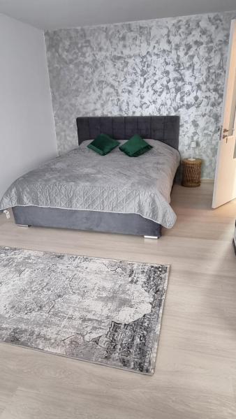 Apartament Nou - Gostinu