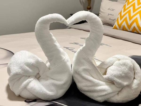 Newly Built Cozy 2br Suite Langley Event Center - Langley