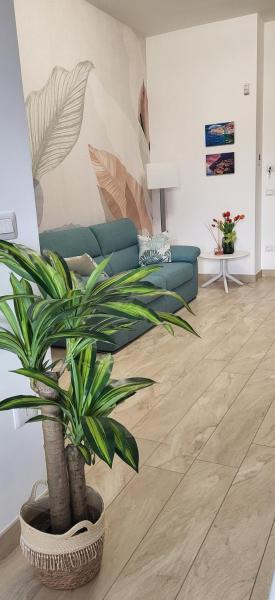 Mo' Mo' House - Ravello