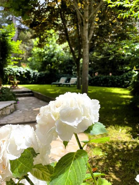 Apartment Balthazar - Rovinj