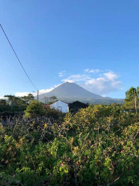 Casa 3 Picos 1 - Açores