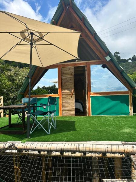 Junglamp-conexión Con La Naturaleza - La Mesa