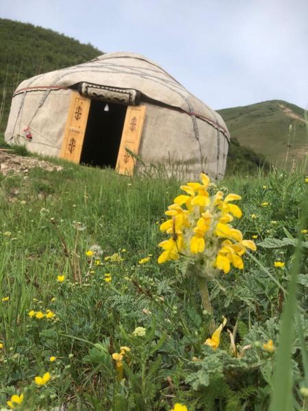 Konok Zhurt - Kyrgyzstan