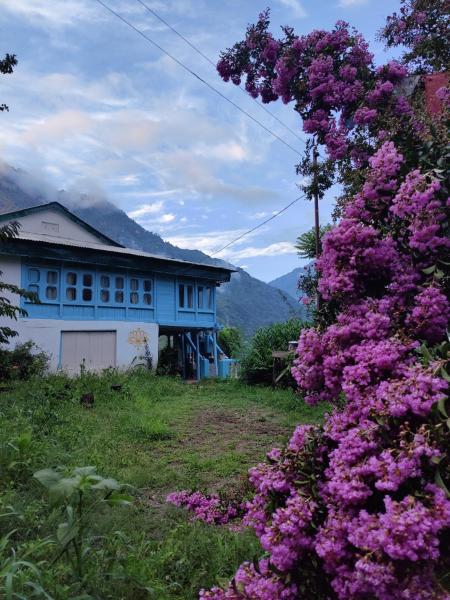 The Nook, Sainj - Mandi