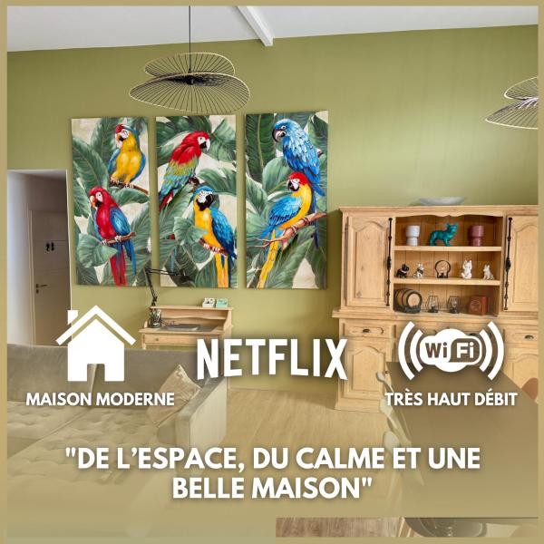 Villa Napoléni - Maison - Calme - Jardin - Parking - La Roche-sur-Yon