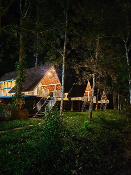 A Frame Cabins With Pool - Bandipur