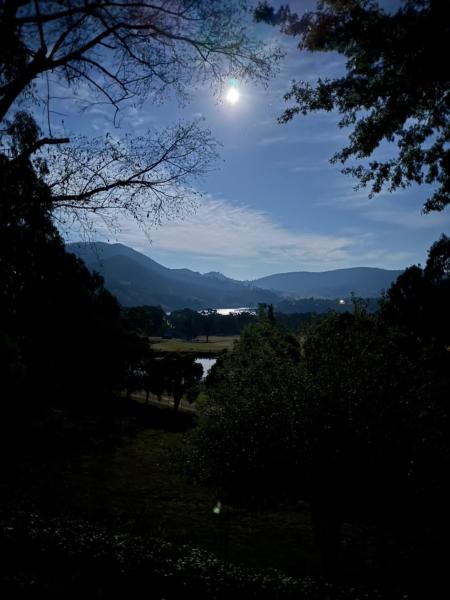 The Black Sparrow - Eildon