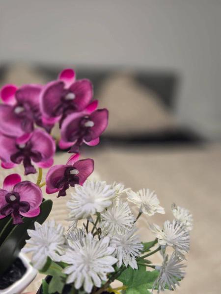 Modern Apartment For 6 Guests - Hamburg