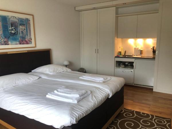 Charming Studio In The Old Town - Uz3 - Zürich