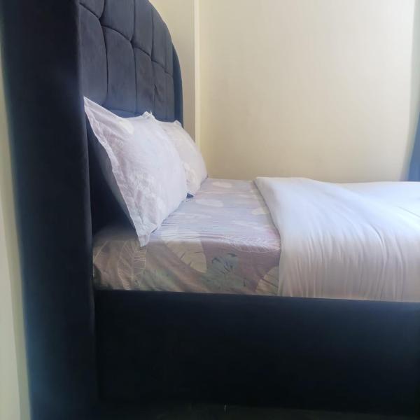 Risper Wambui Property - Nairobi