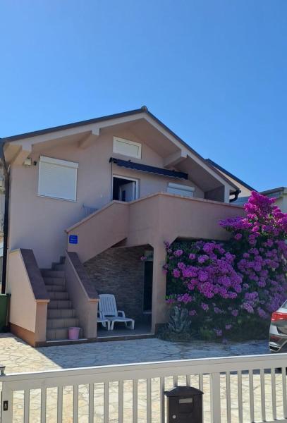 Apartment Mate - Vir