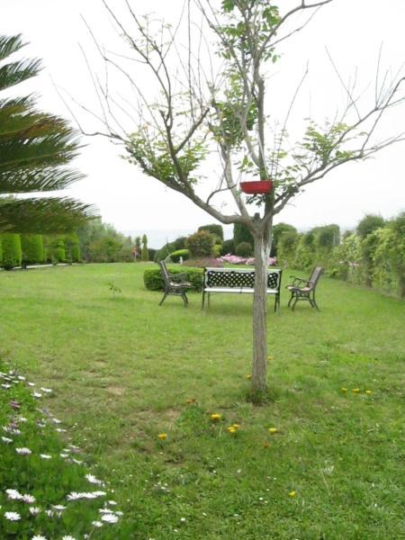 Beach House - Halkidiki