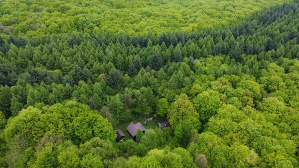 Zada Nature Lounge - Cluj-Napoca