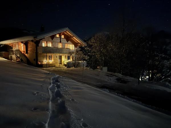 Apartment Heimersberg By Interhome - Saanen